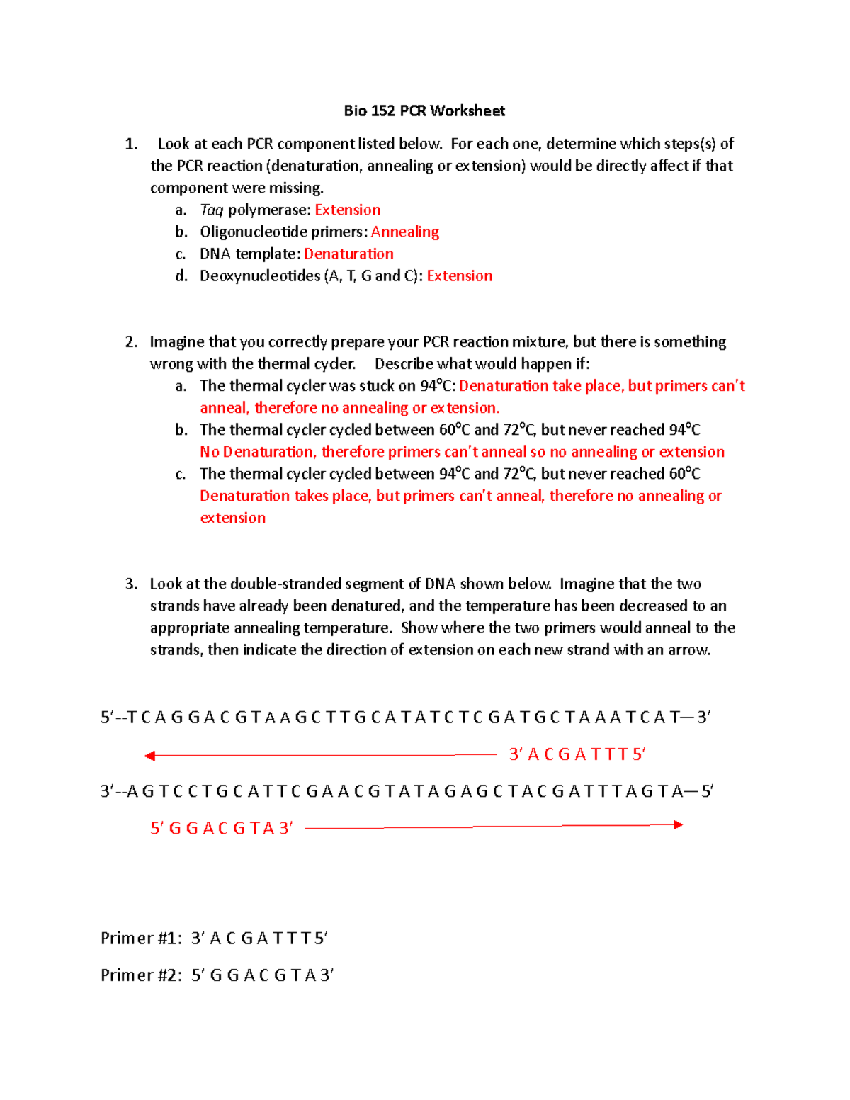 Bio 152 PCR Worksheet Answer Key - Bio 152 PCR Worksheet Look at each ...