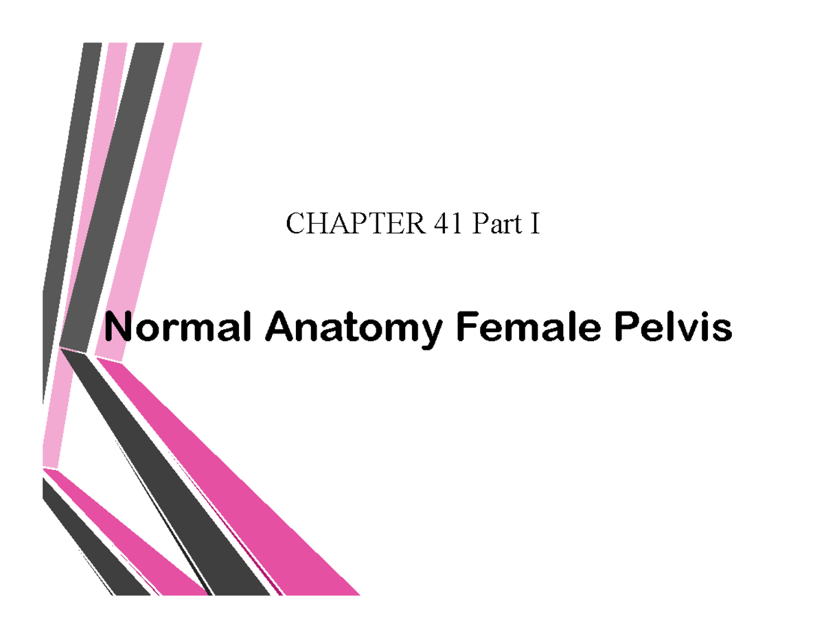 Normal Anatomy of the Female Pelvis: Muscles & Structures (CH41) - Studocu