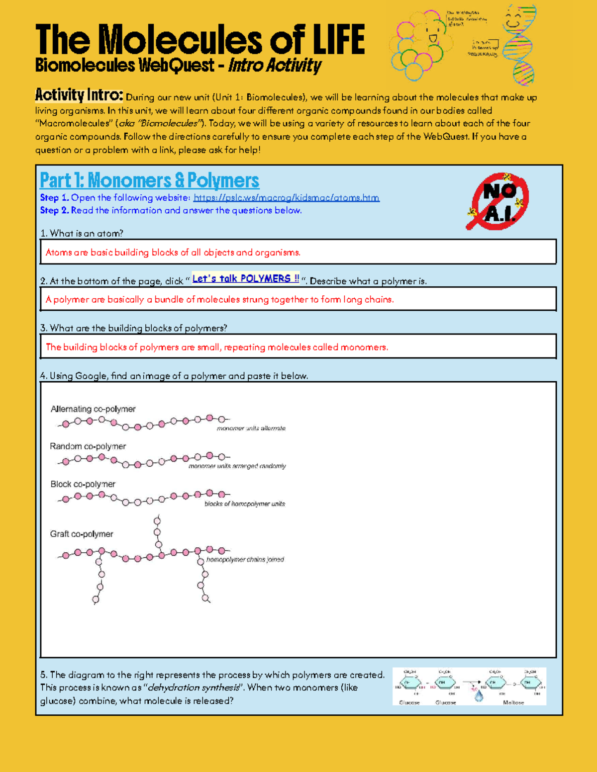 Unit 1: Biomolecules WebQuest - Molecules of Life Activity - Studocu