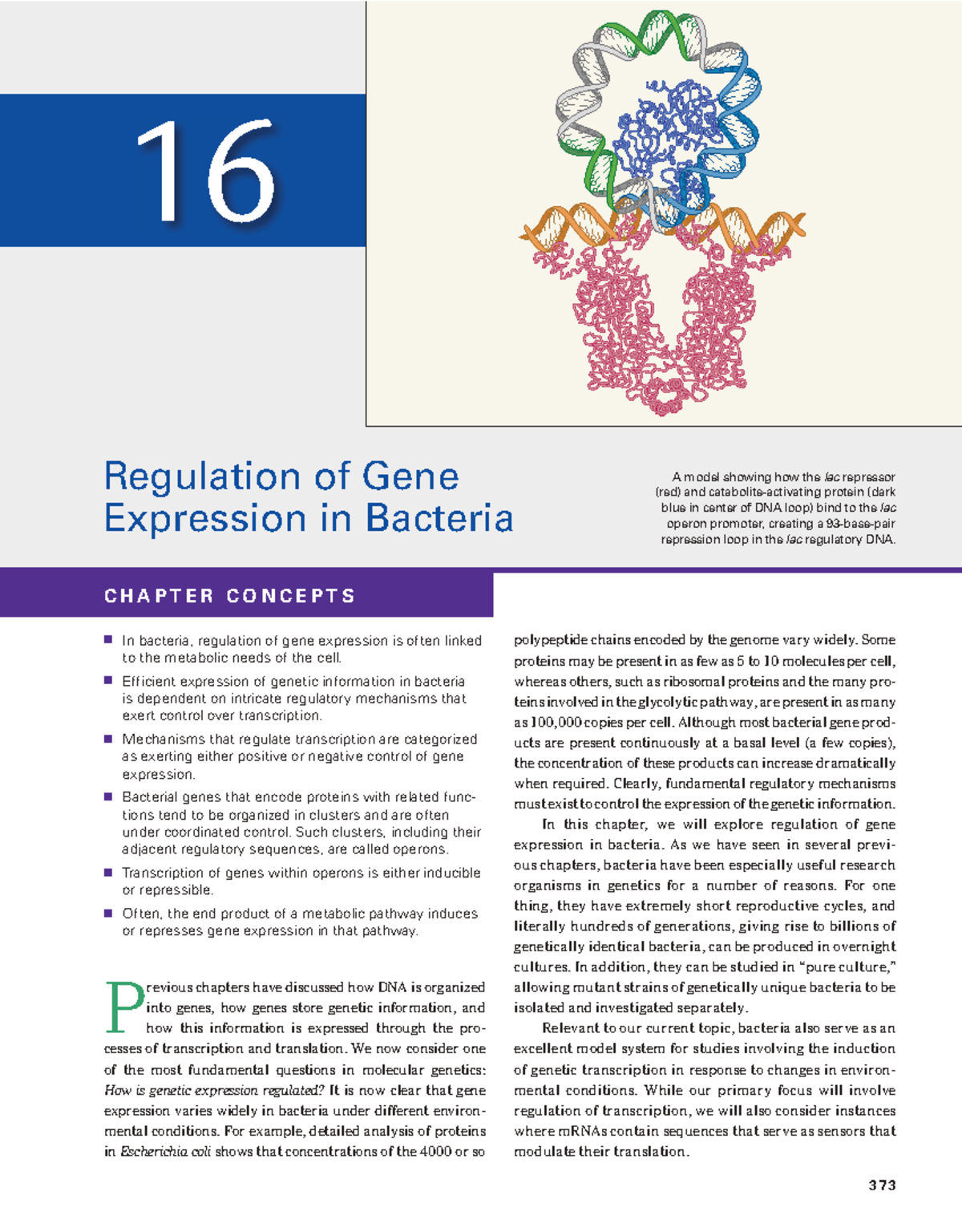 Regulation of Gene Expression in Bacteria (BIO 101) - Chapter Insights ...
