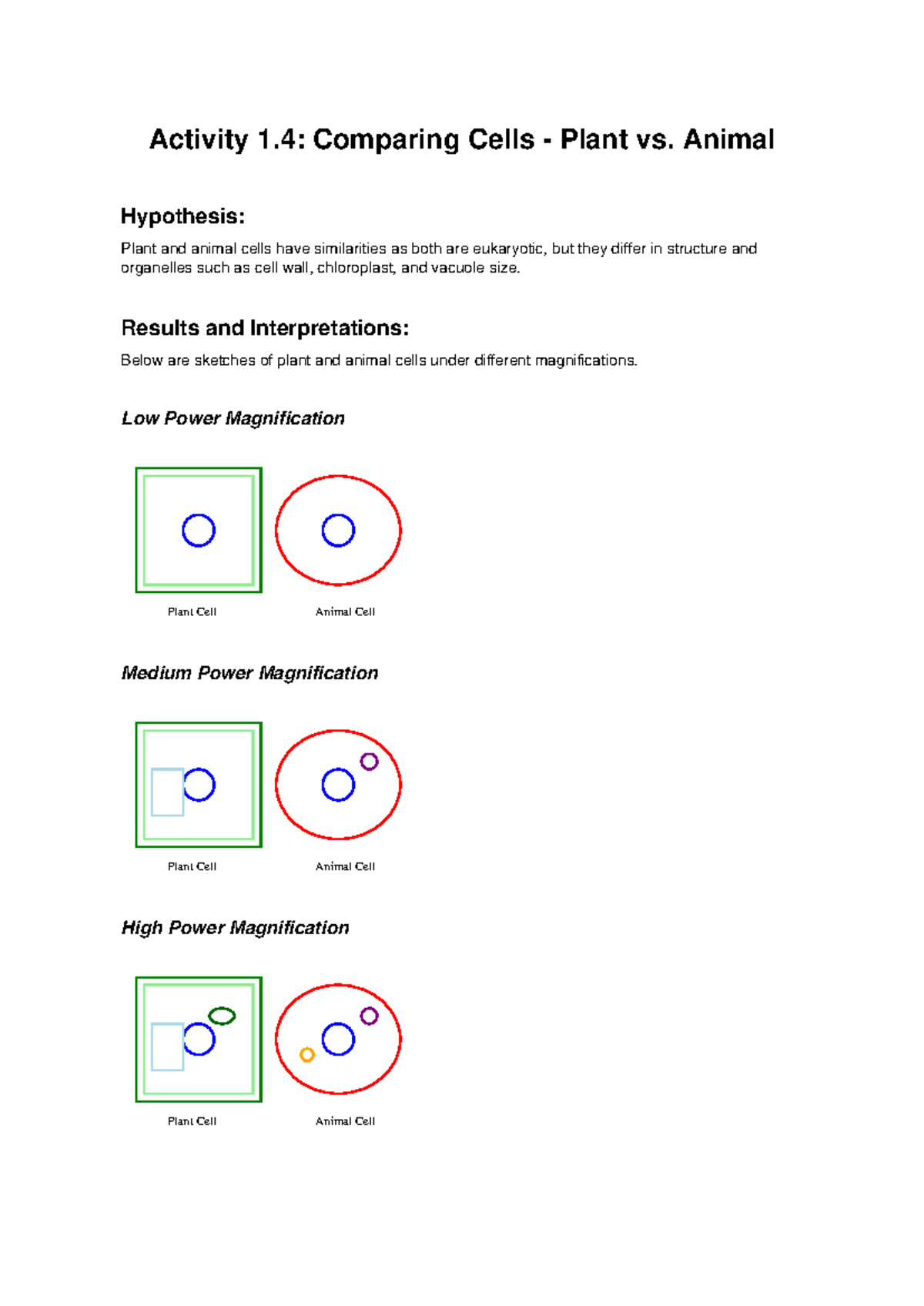 Activity 1.4: Comparing Plant and Animal Cells with Drawings - Studocu