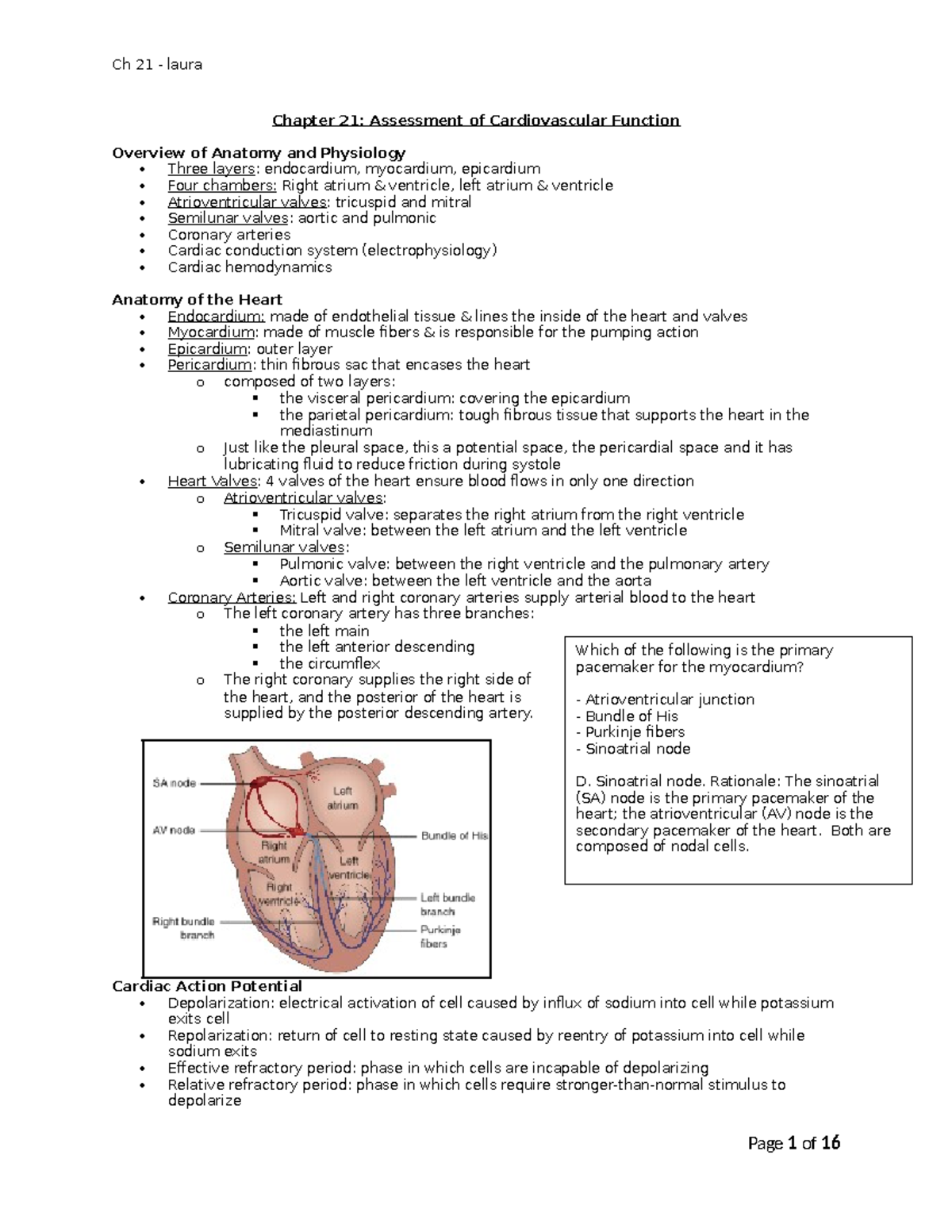 Ch 21: Comprehensive Overview of Cardiovascular Assessment and Function ...