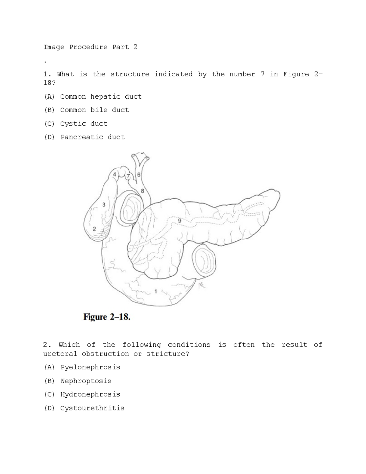Image Procedure Part 2 - Cluster 2: Exam Review Questions - Studocu