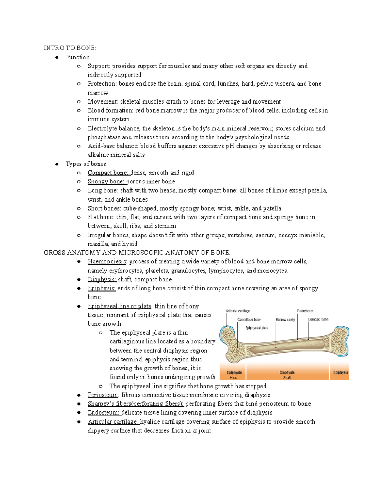 Skeletal System Chapter: Functions, Anatomy, and Bone Types (BIO 101) - Studocu