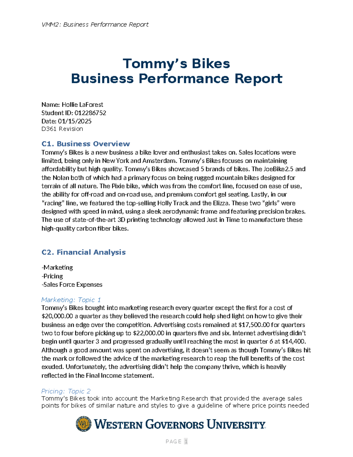 Business Performance Report D361 Revision - VMM2: Business Performance ...