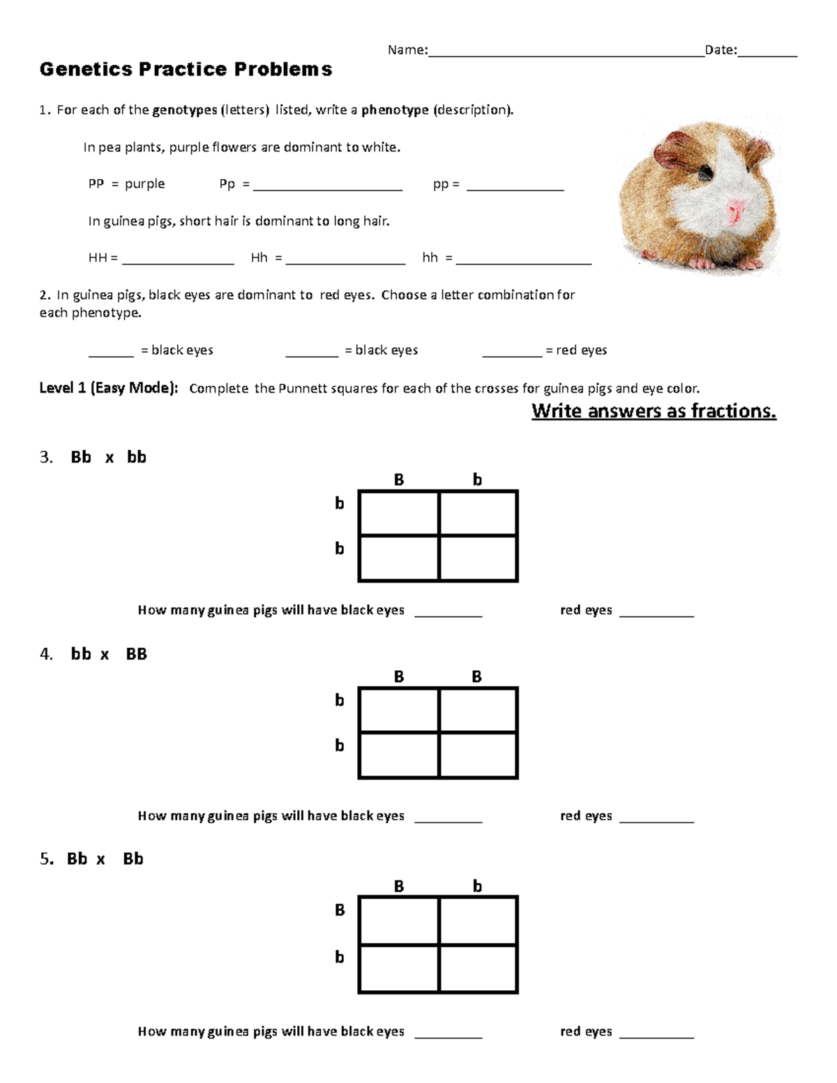 Genetics Practice Problems Easy Mode Name