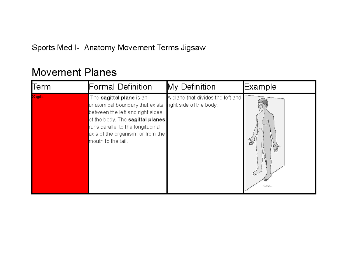 Sports Med Anatomy Movement Terms Jigsaw - 2nd Edition 2025 - Studocu