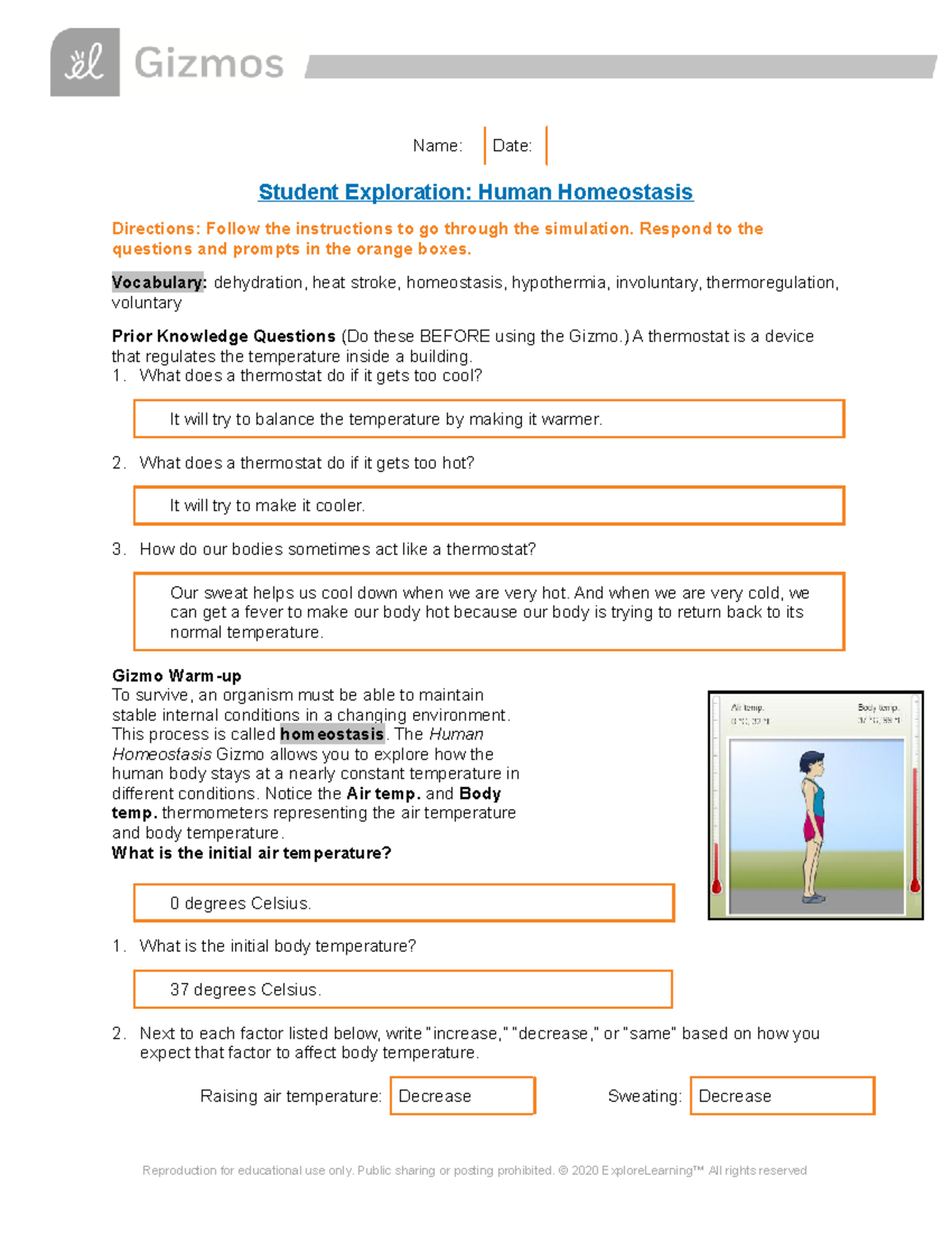 Human Homeostasis Exploration Guide SE - Studocu