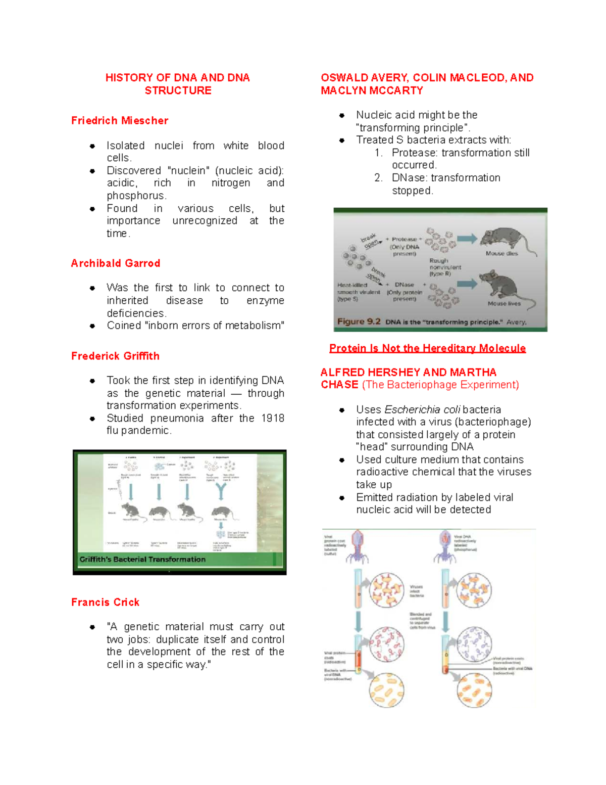 HIST 101: History of DNA Discovery and Structural Insights - Studocu