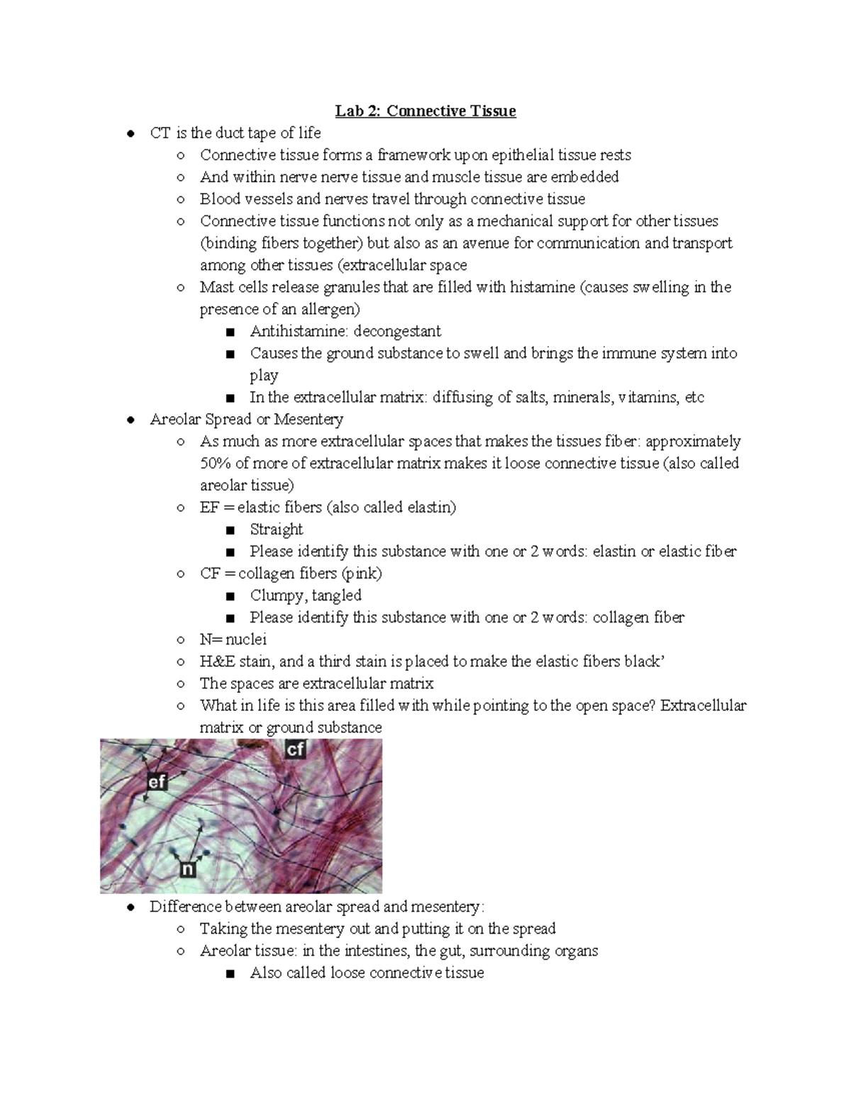 Lab 2: Connective Tissue Overview and Key Concepts - Studocu