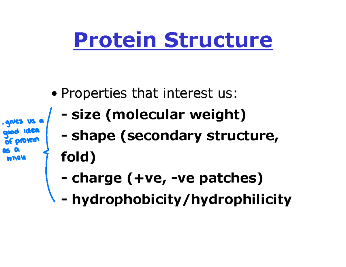 BIOC 101: Lecture Notes on Protein Structure and Function - Studocu
