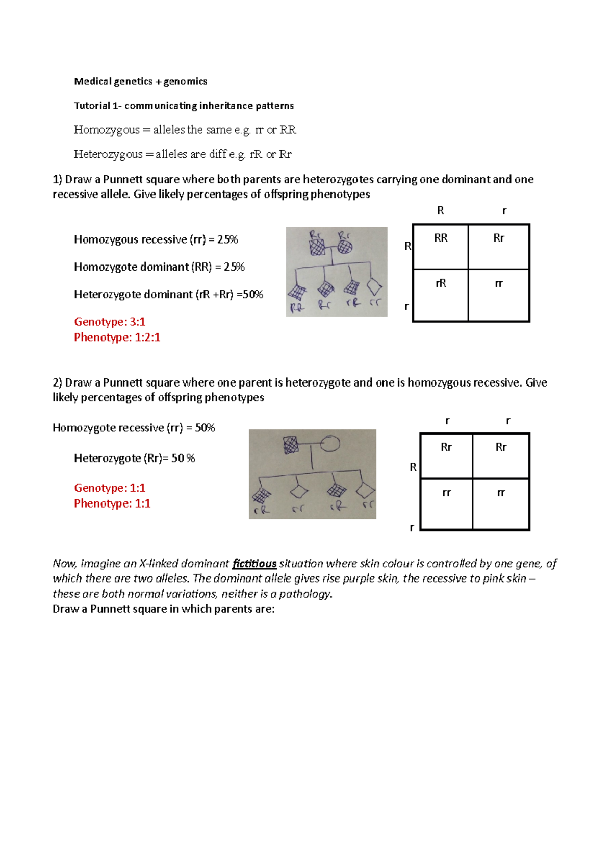 Tutorial 1: Genetics of Inheritance Patterns and Punnett Squares - Studocu