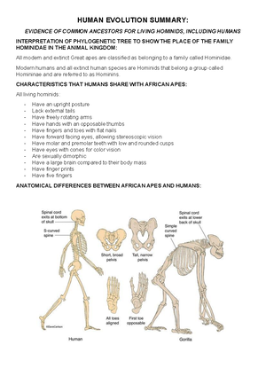 HAMLET: A Comprehensive Study Guide for Grade 12 Literature - Studocu