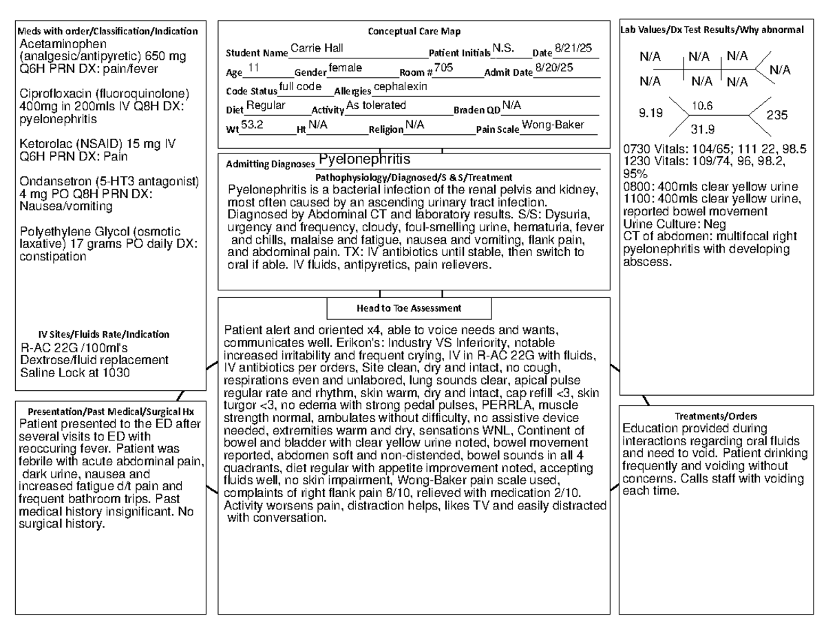 Meds & Care Map for Pyelonephritis: Acetaminophen & More - Studocu