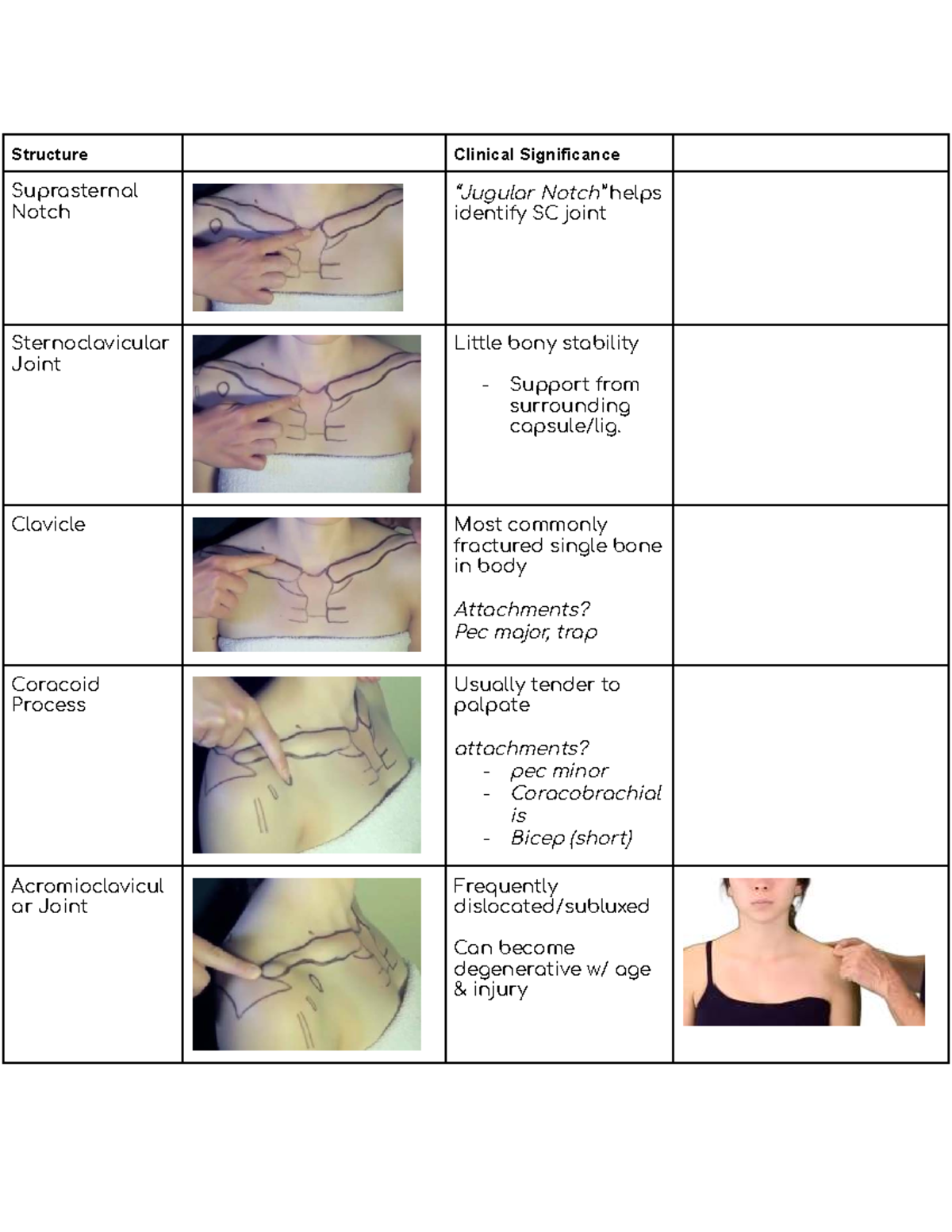 Physical Assessment Tests for Shoulder Conditions - Clinical Overview ...