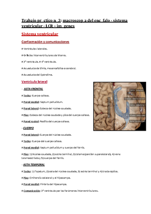 Anastomosis porto-cava - Anastomosis portocava El sistema venoso porta ...
