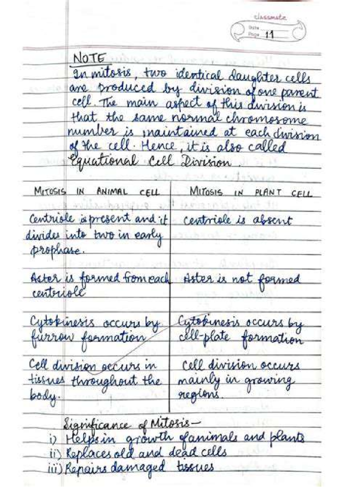 OIP-979449629 - Intro to Mitosis: Animal & Plant Cell Division Notes ...