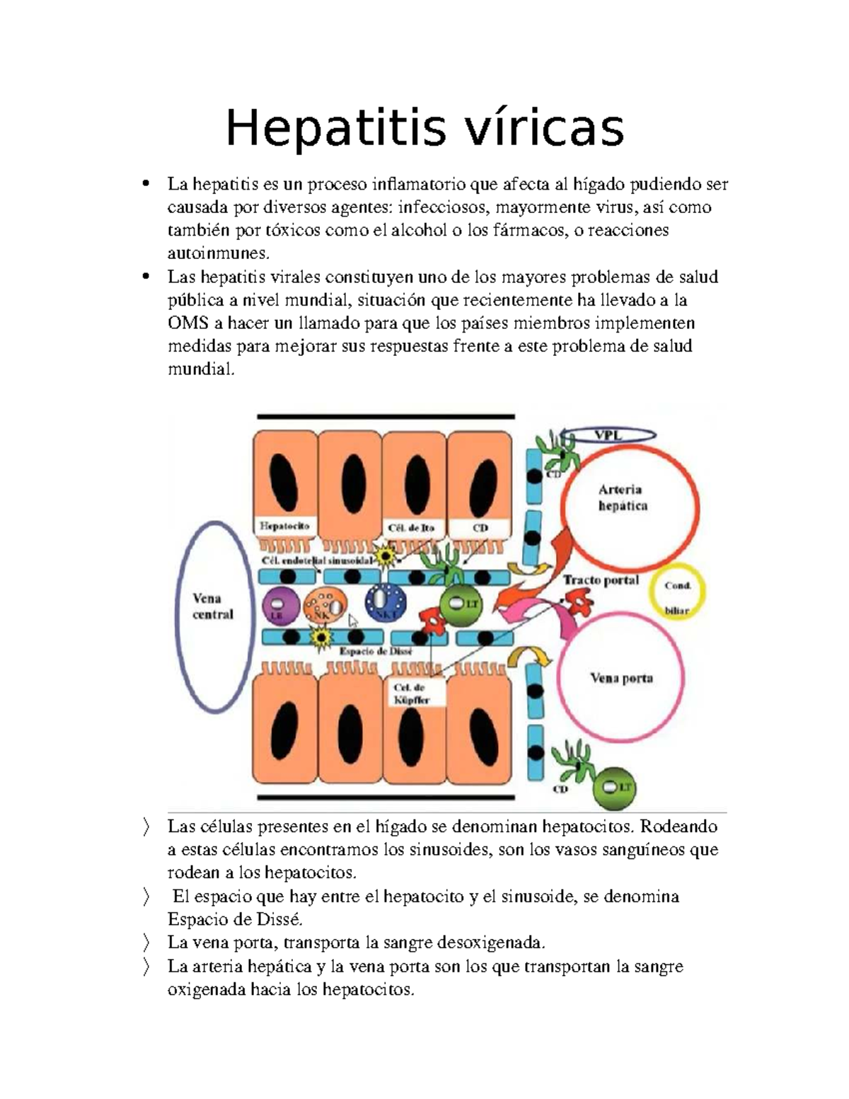 Hepatitis Víricas: Transcripto Lab de Salud Pública - Studocu
