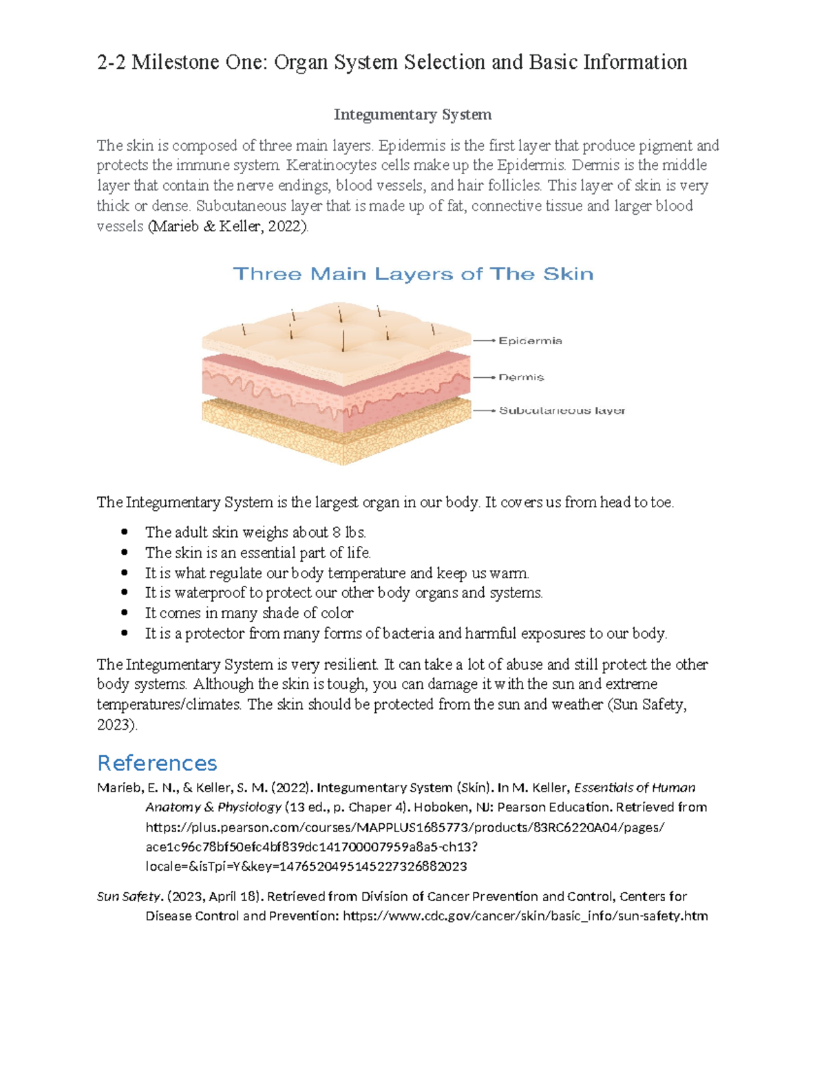 Integumentary System Overview: Functions, Layers, and Importance - Studocu