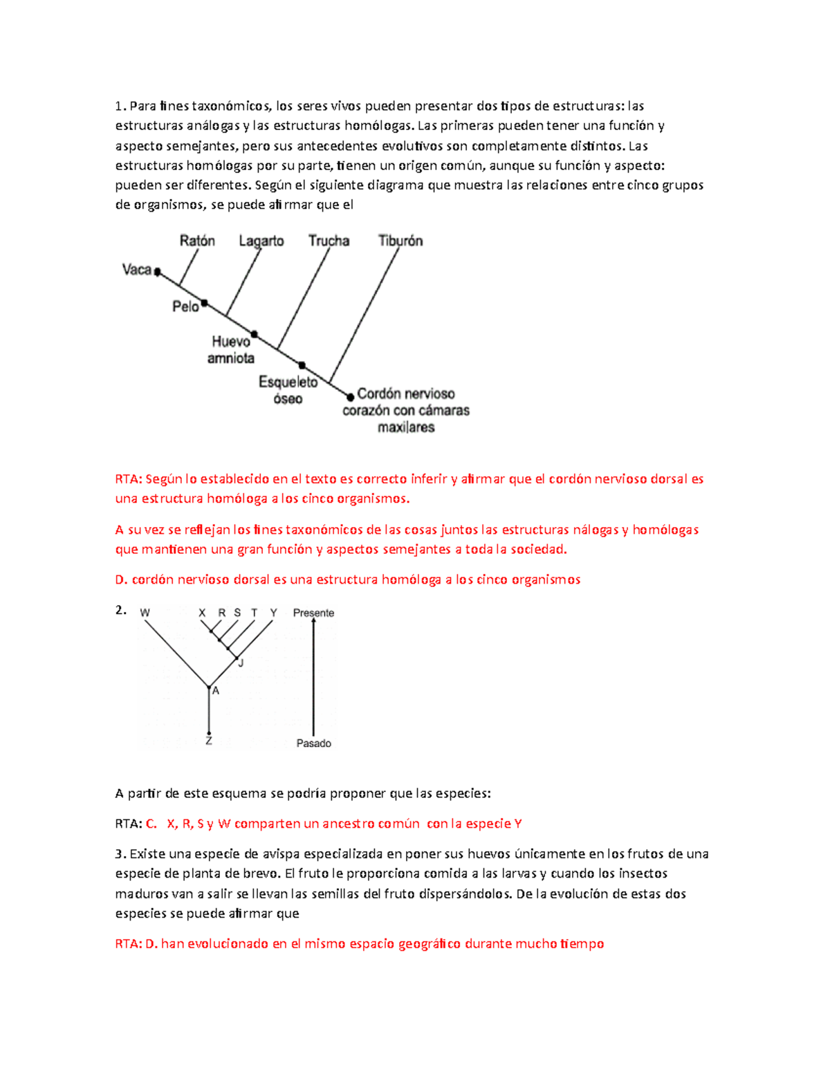 Estructuras Homólogas Vs Análogas
