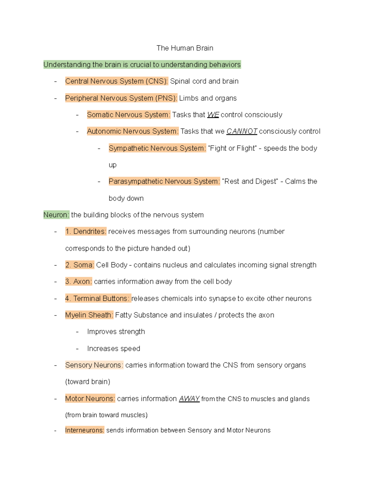 Understanding the Human Brain: CNS, PNS, and Functions Overview - Studocu