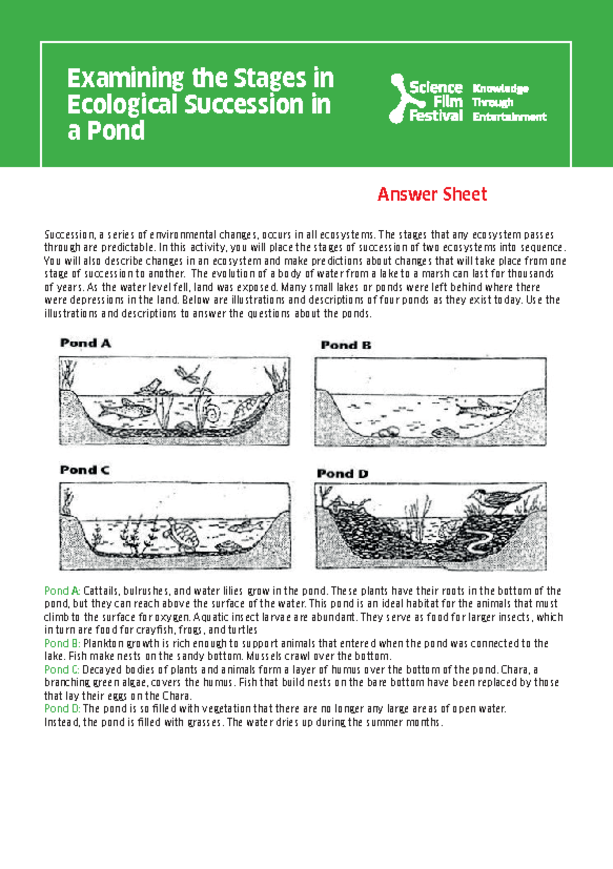 Ecological Succession Worksheets
