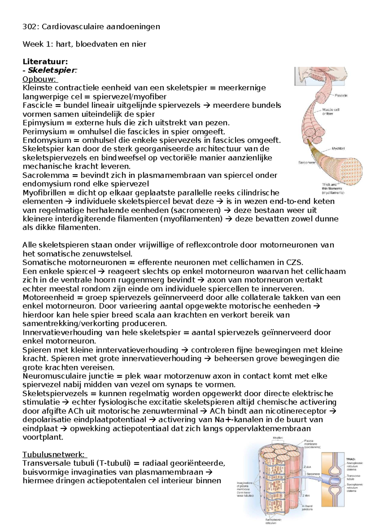 302: Samenvatting Week 1 - Cardiovasculaire Aandoeningen en ...
