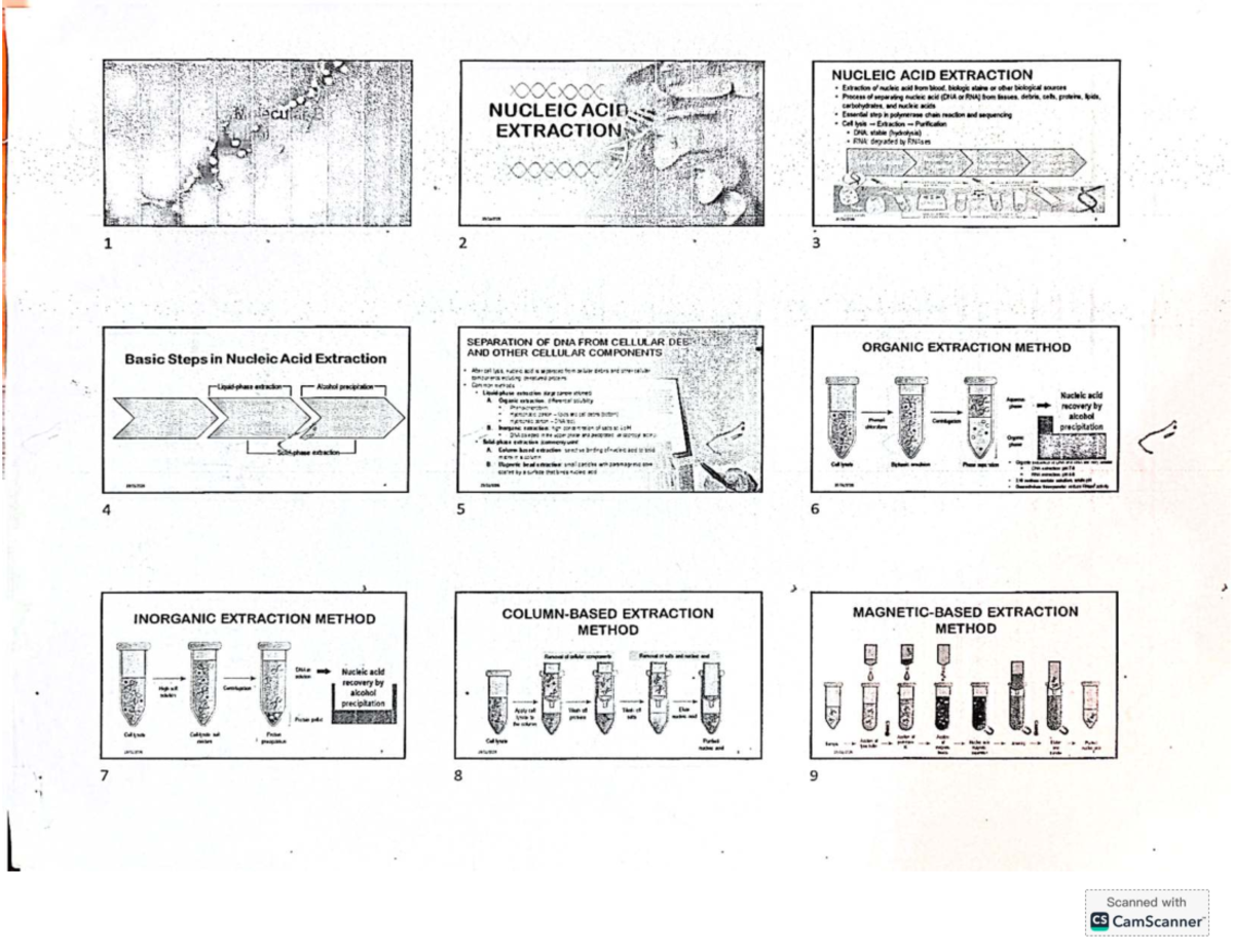 NUC 101: Nucleic Acid Extraction Techniques and Procedures - Studocu