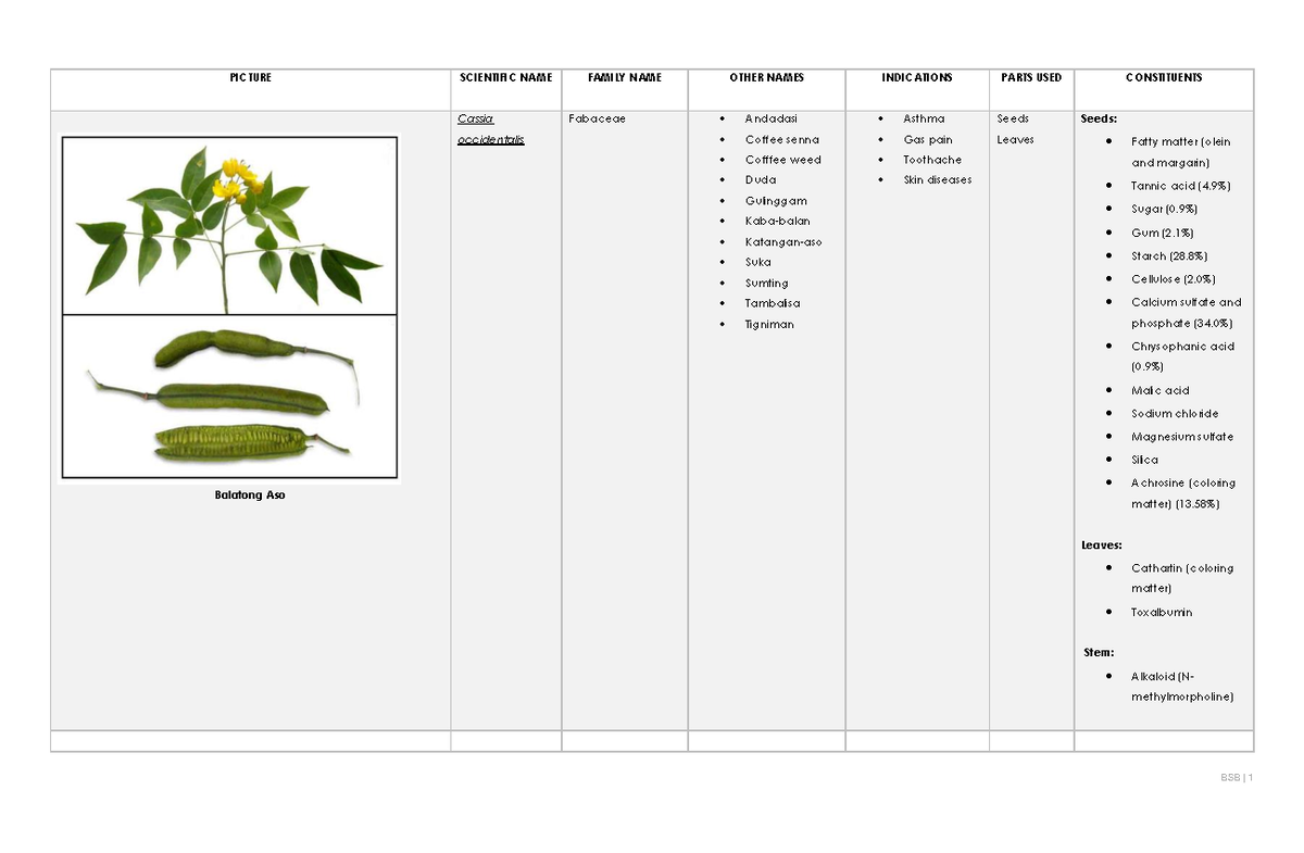 Herbal Remedies and Their Constituents: BSB 1-14 Overview - Studocu