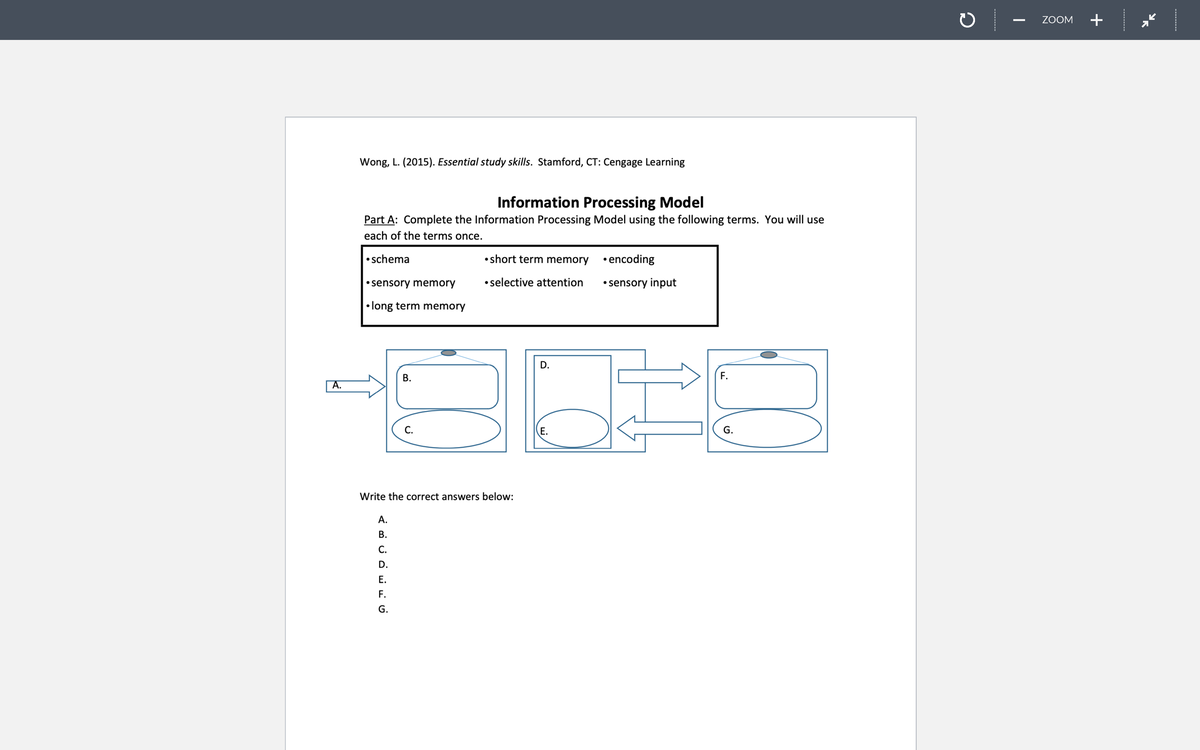 LSK-1023-52-202330 Chapter 5 Activity: Info Processing Model Guide ...