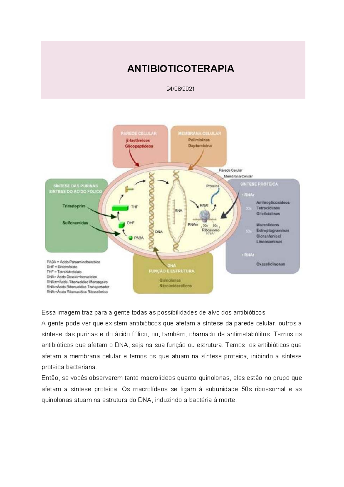 ANTIBIOTICOTERAPIA: Mecanismos e Aplicações das Sulfonamidas - Studocu