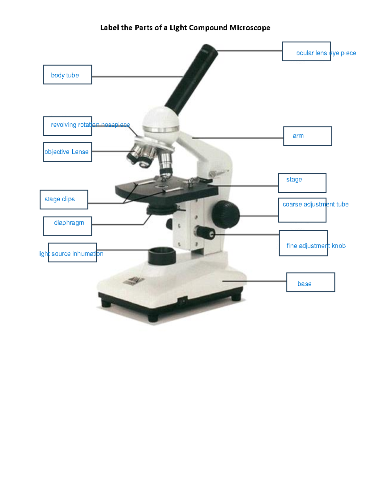 Label the Parts of a Light Compound Microscope - Studocu