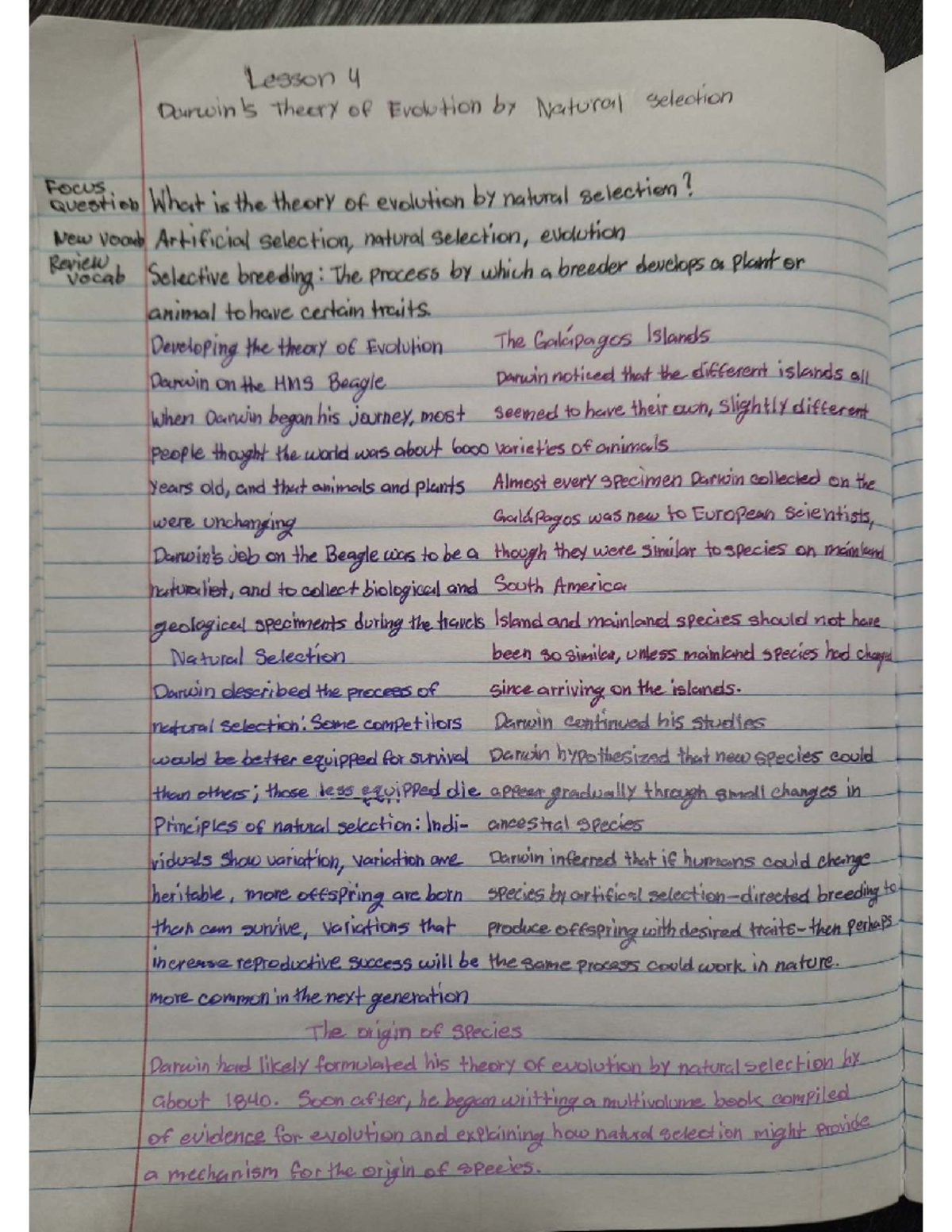 Lesson 4: Darwin's Theory of Evolution & Natural Selection (20260223 ...