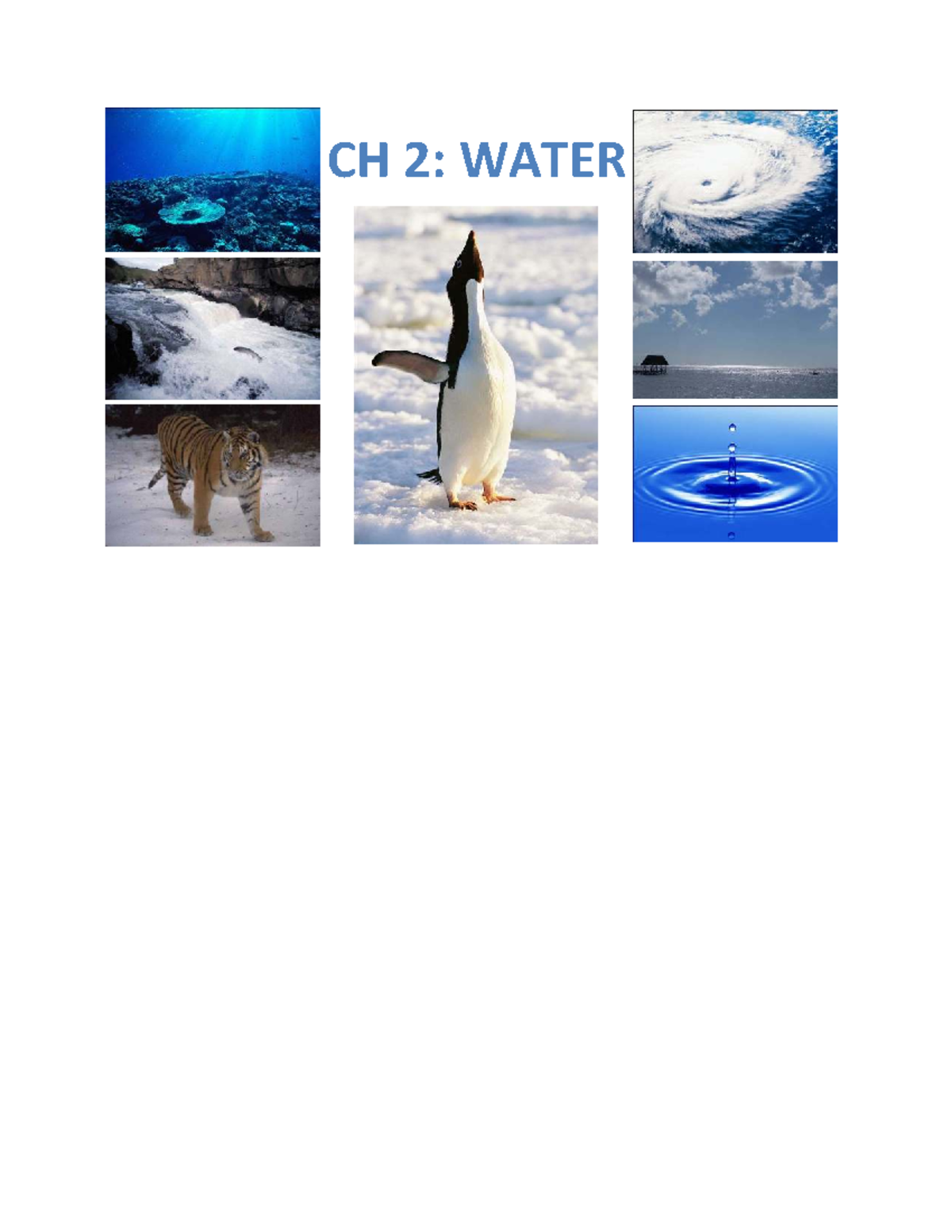 CH 2: Water Notes - Essential Properties and Interactions - Studocu