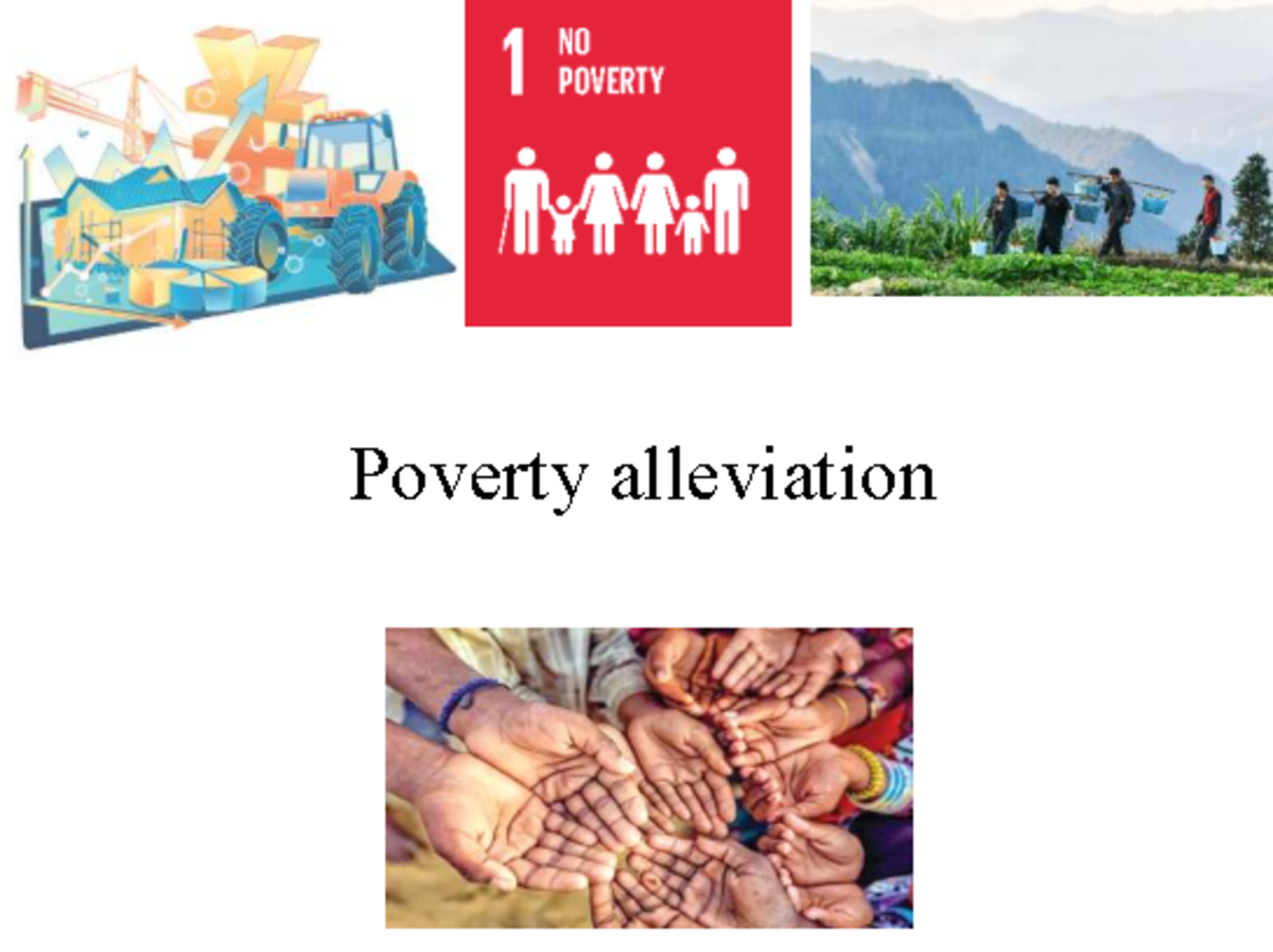 Poverty Alleviation: Understanding Global Standards and Causes ...