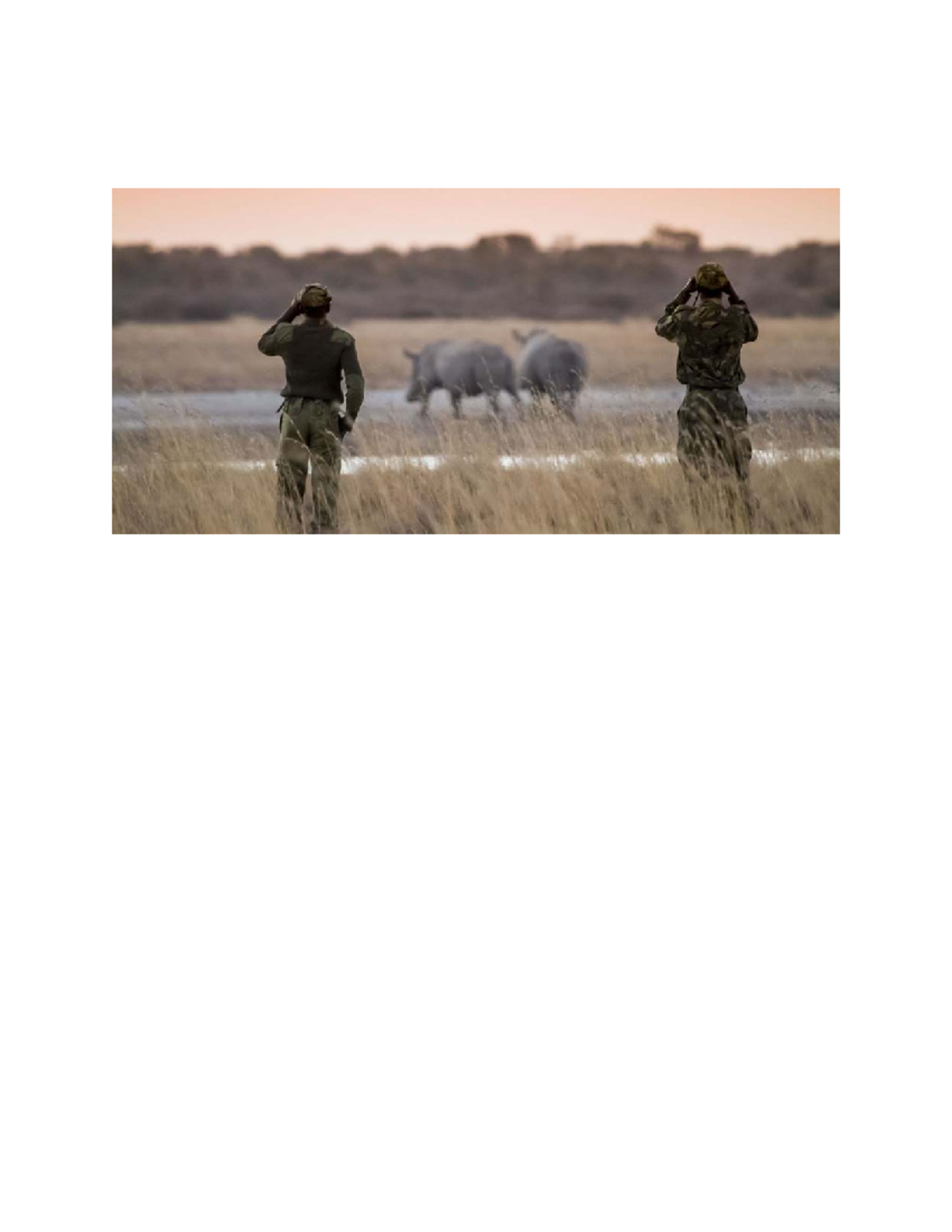 Game ranger - English - UJ Metropolitan Academy - Studocu