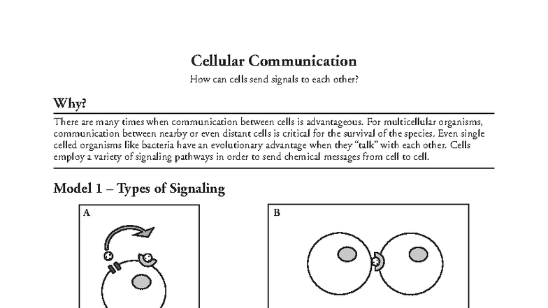Pogil Cellular Communication - Cellular Communication 1 Cellular ...