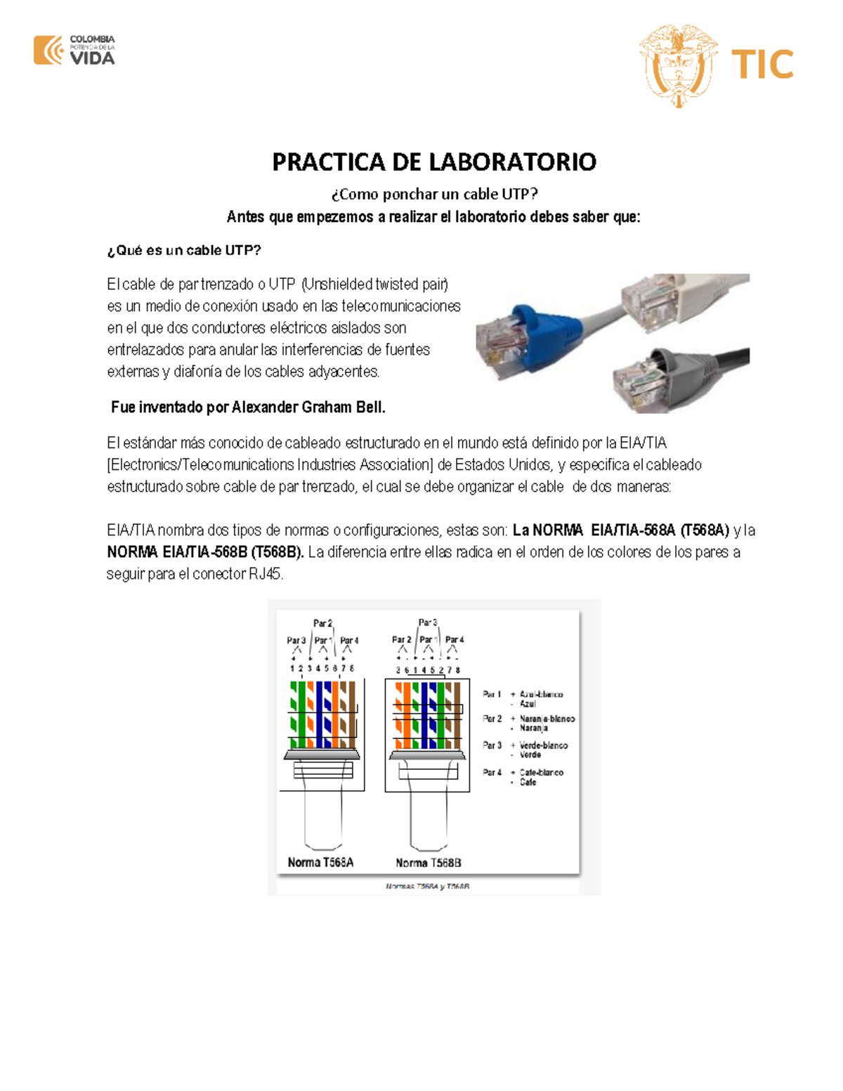 Práctica de Ponchado de Cables UTP para Redes de Datos - Studocu