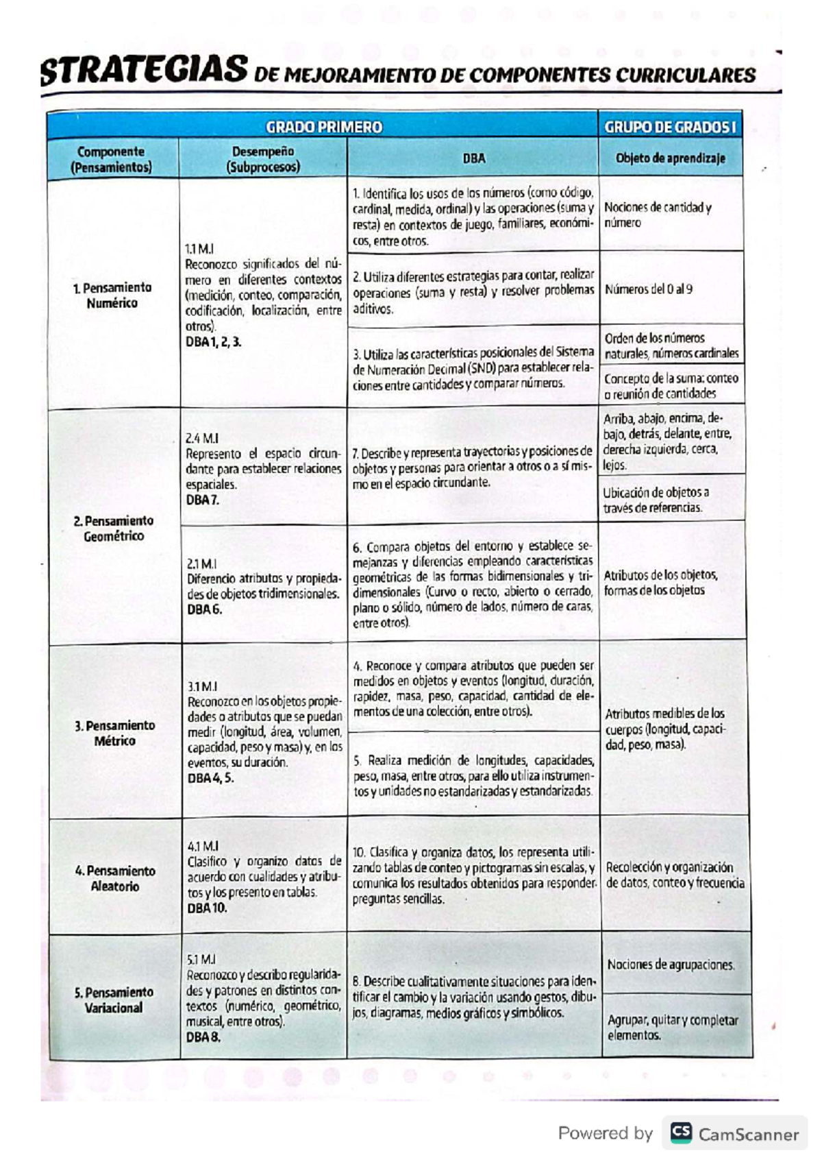 Estrategias de Mejora Curricular en Matemáticas 1° a 5° - Período CS ...