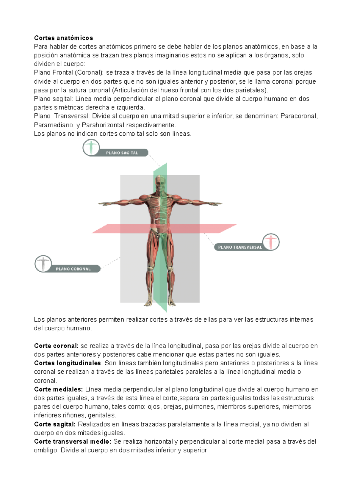 Cortes anatómicos - Anatomía Humana - UNA - Studocu