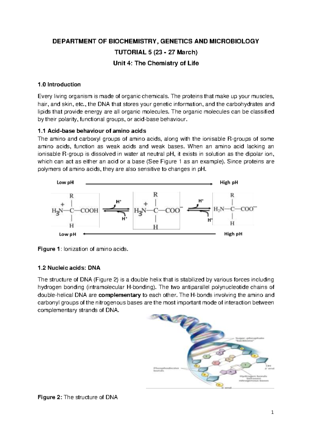 Biochemistry Tutorial 5: The Chemistry of Life (Unit 4) - Studocu