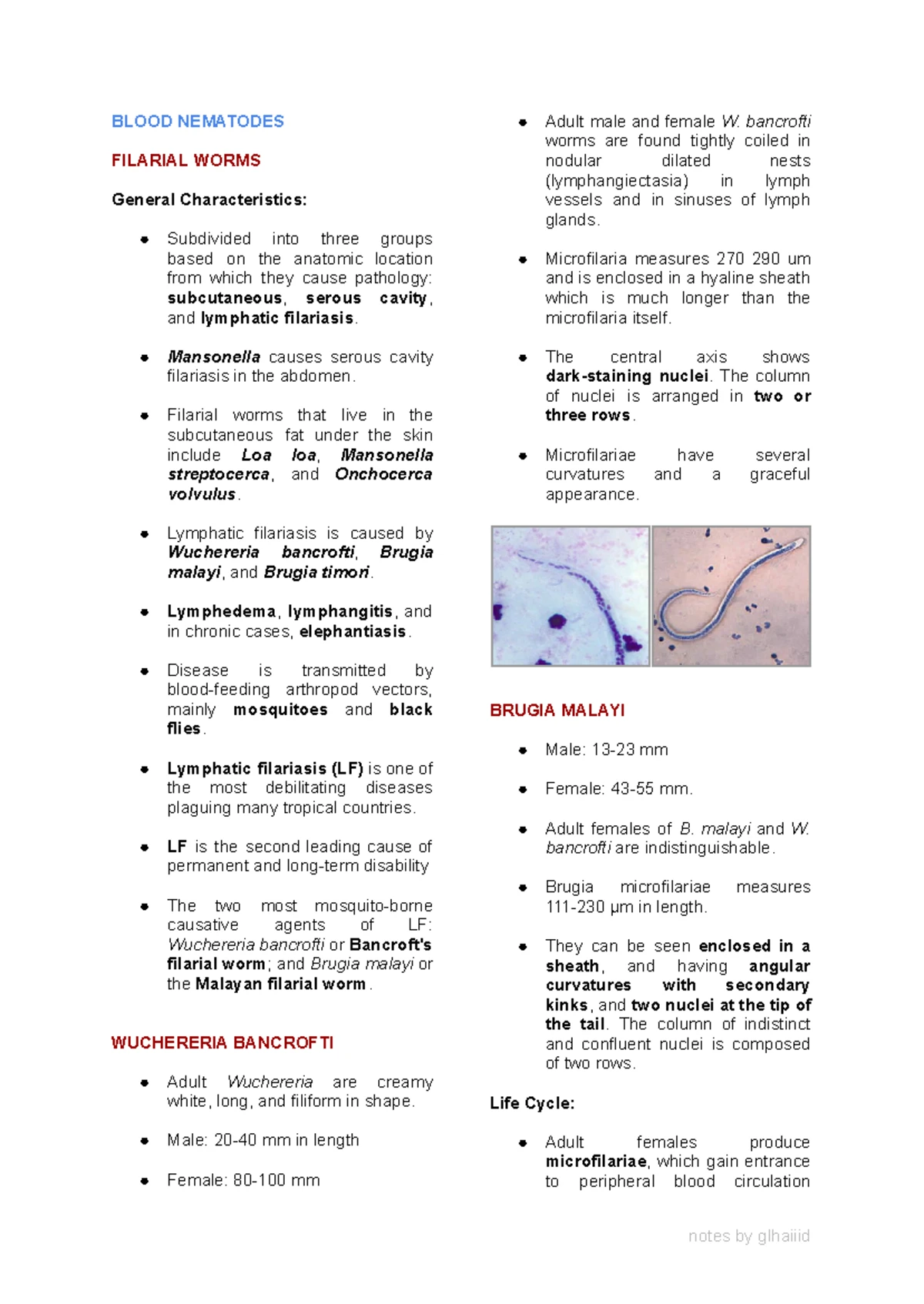 Parasitology NEMATODES: Enterobius Vermicularis & Hookworms Overview ...