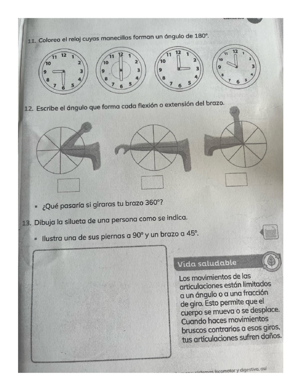 Ángulos - Ejercicios - 11. Colorea el reloj cuyas manecillas forman un ...