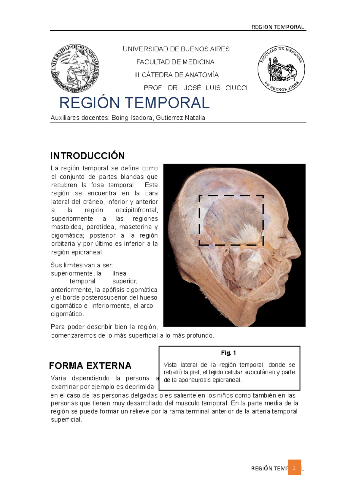 Resumen de la Articulación Atlantooccipital y Estructuras Relacionadas ...