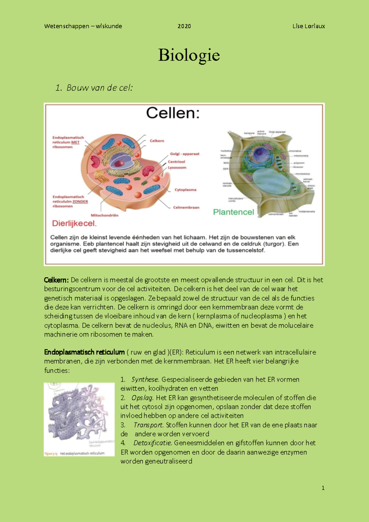 Wetenschappen Wiskunde 2020: Biologie 1 - Celstructuur en Functies ...