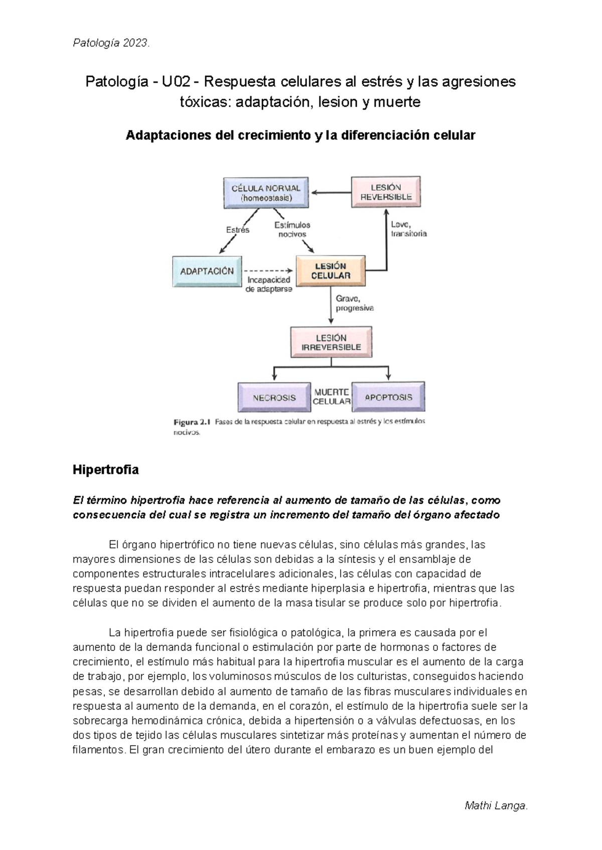 Patología U02: Respuestas Celulares ante Estrés y Lesiones Tóxicas ...
