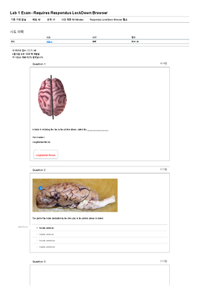 Module 4 Exam - Cardiovascular System Concepts and Questions - Module 4 ...