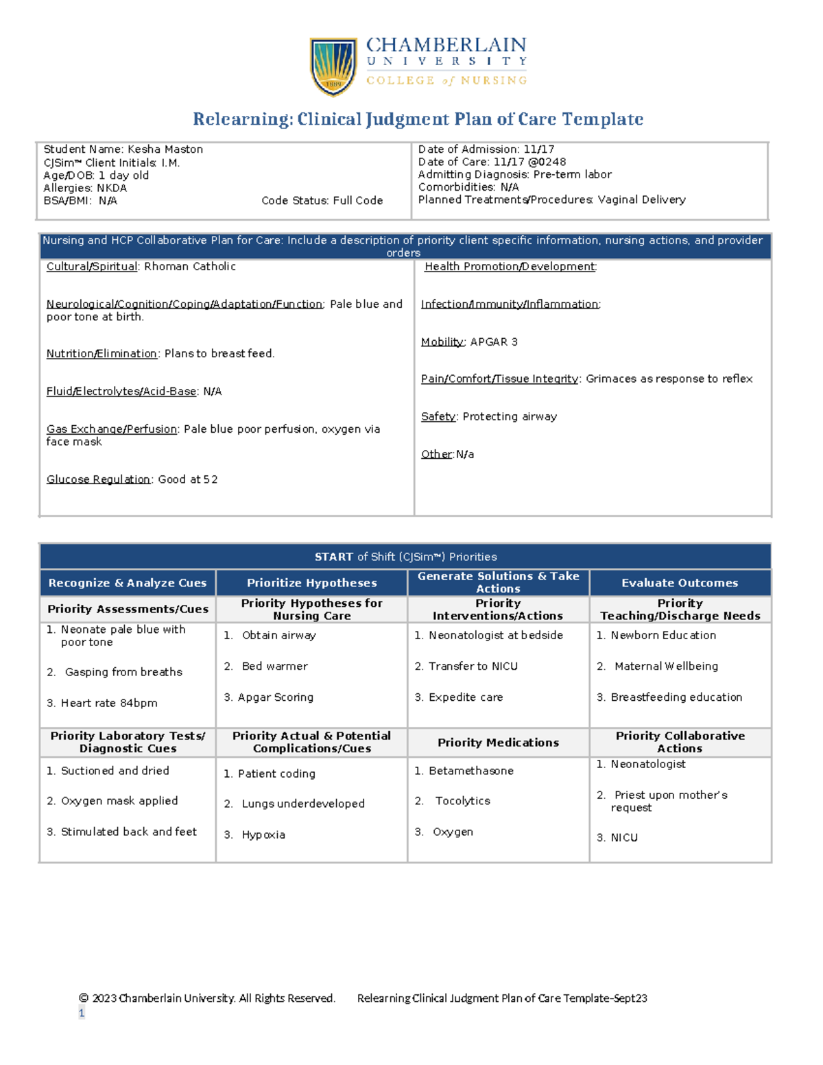 CJSim™ Care Plan for Neonate I.M.: Clinical Assessment & Interventions ...