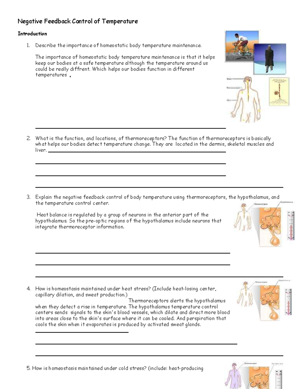 Negative Feedback Mechanism Activity: Homeostasis & Temperature Control ...