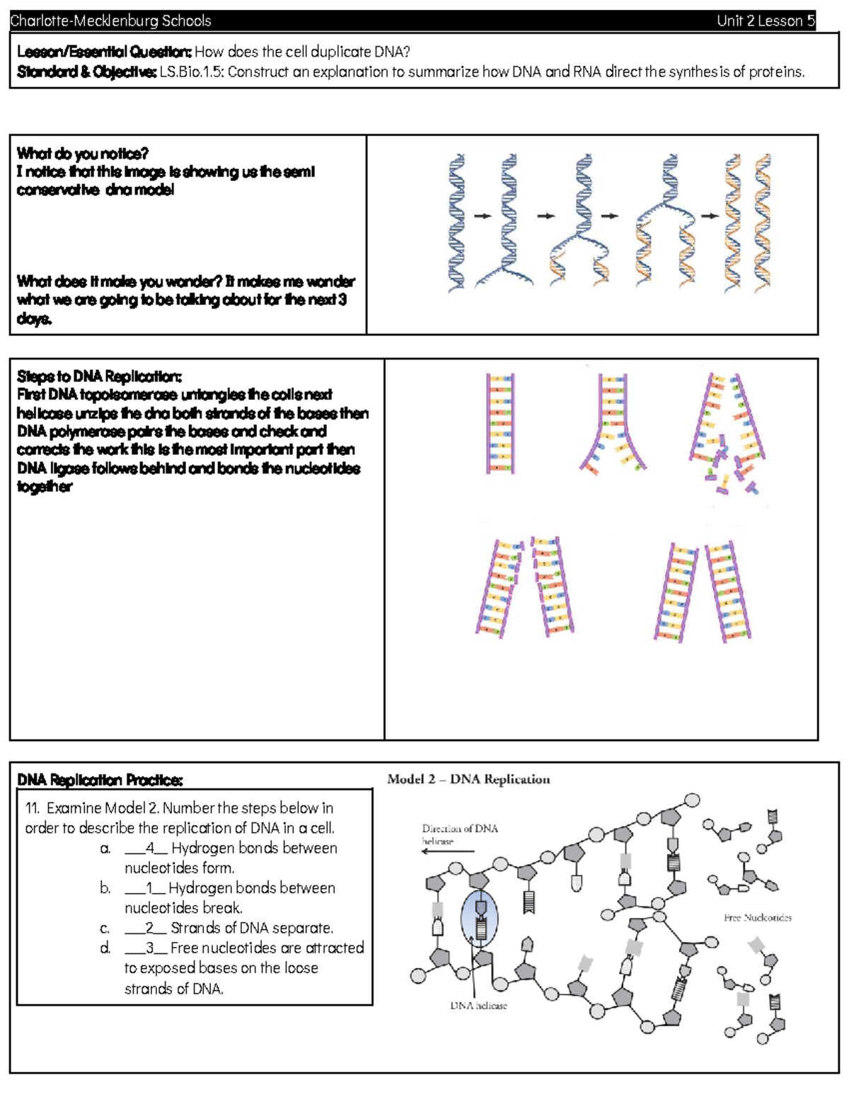 Unit 2 Lesson 5: DNA Replication and the Cell Cycle Overview - Science ...